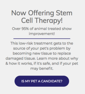 Veterinarian in Altus, OK | All Pets Medical Center